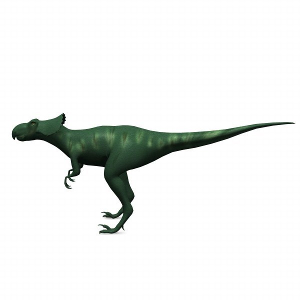 3ds dinosaur microceratops