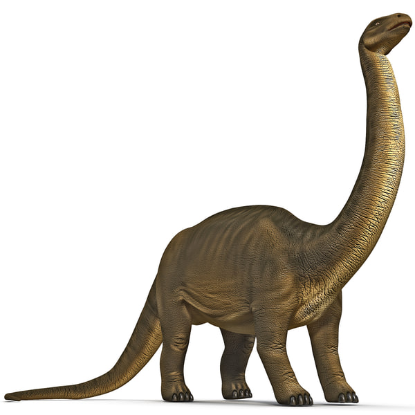 brontosaurus rigged 3d model