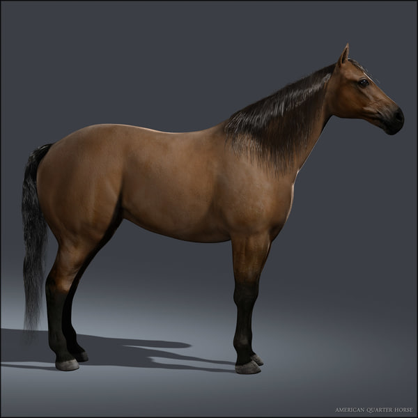 realistic horse 3d model