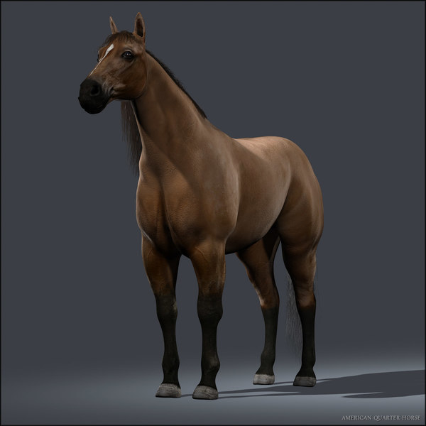 realistic horse 3d model