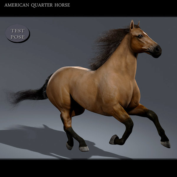 realistic horse 3d model