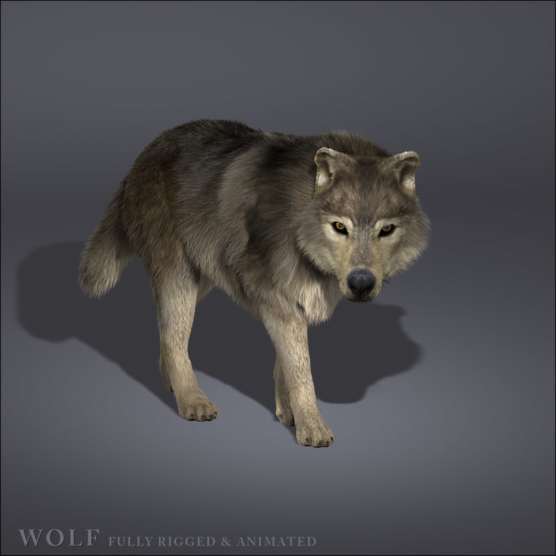 ma fur animation wolf