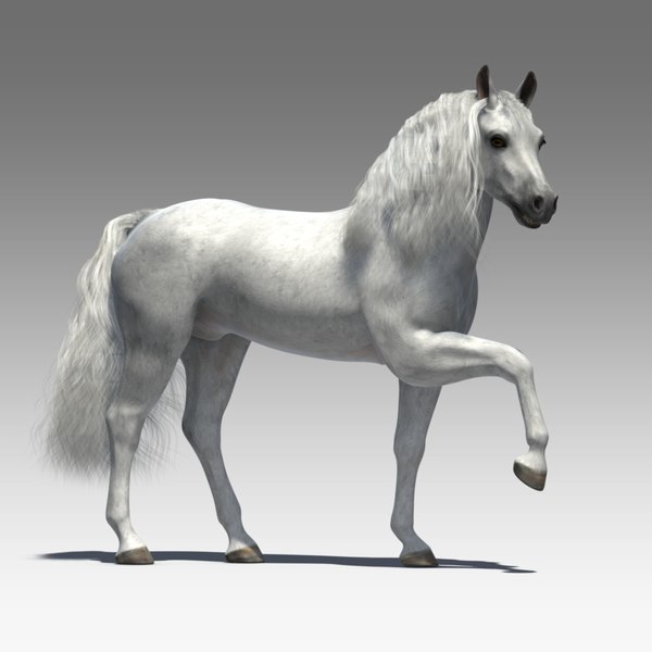 cinema4d ged horse animation poses