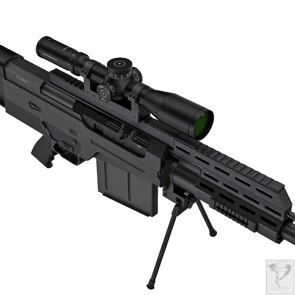 accuracy international as50 3d model