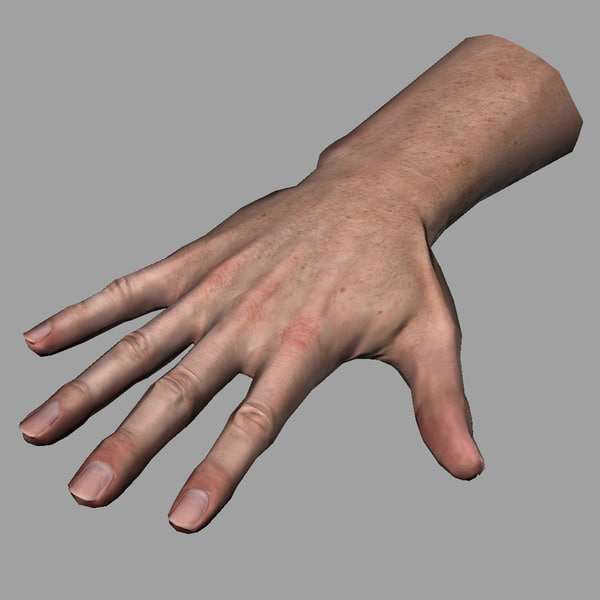hand quad high res 3d model
