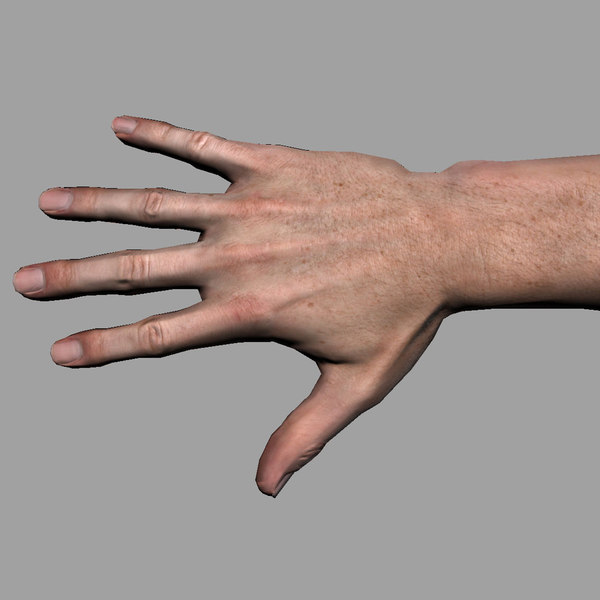 hand quad high res 3d model