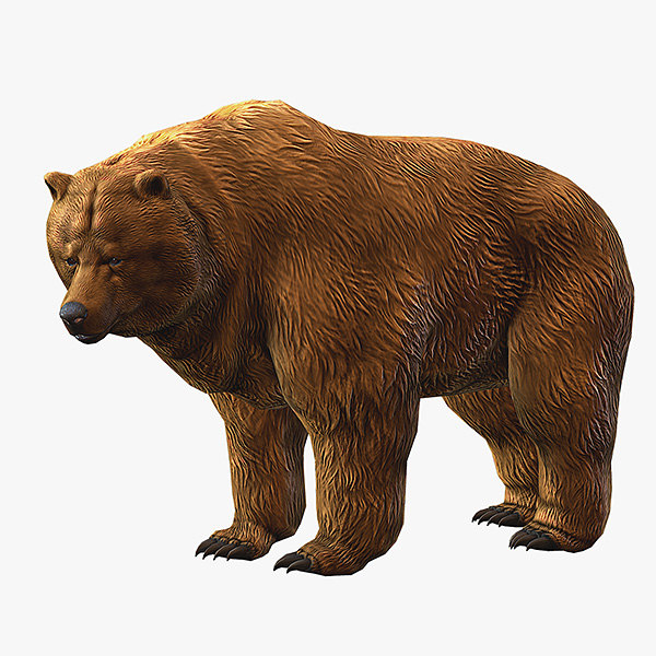 3ds max brown bear animation