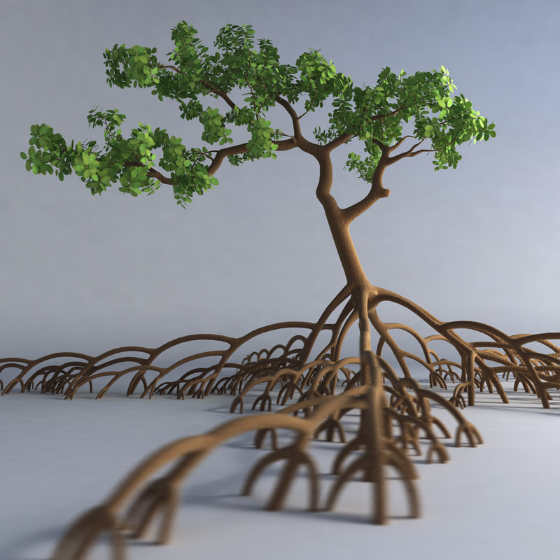 mangrove tree 3ds
