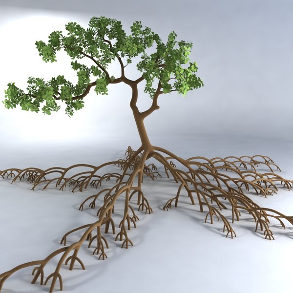 mangrove tree 3ds