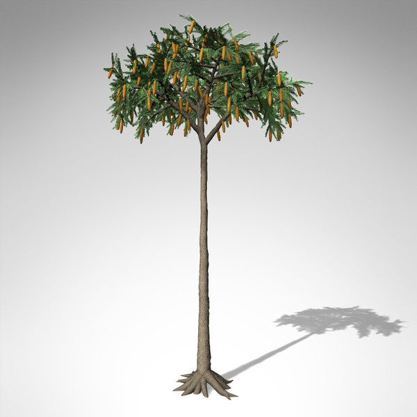 max xfrogplants lepidodendron plant tree