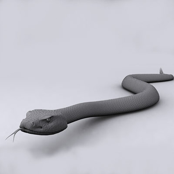 snake rattlesnake 3d model