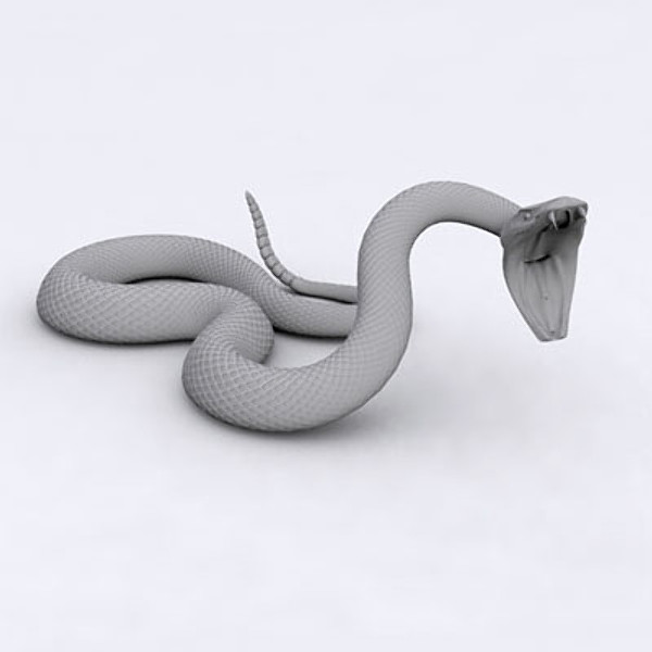 snake rattlesnake 3d model