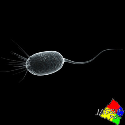 Flagellating Overcontroller