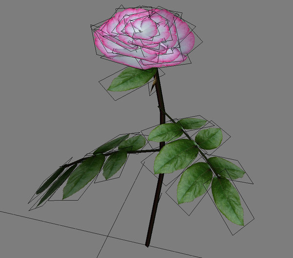 pink rose plant 3d model