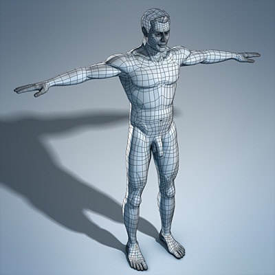 male human body 3d model