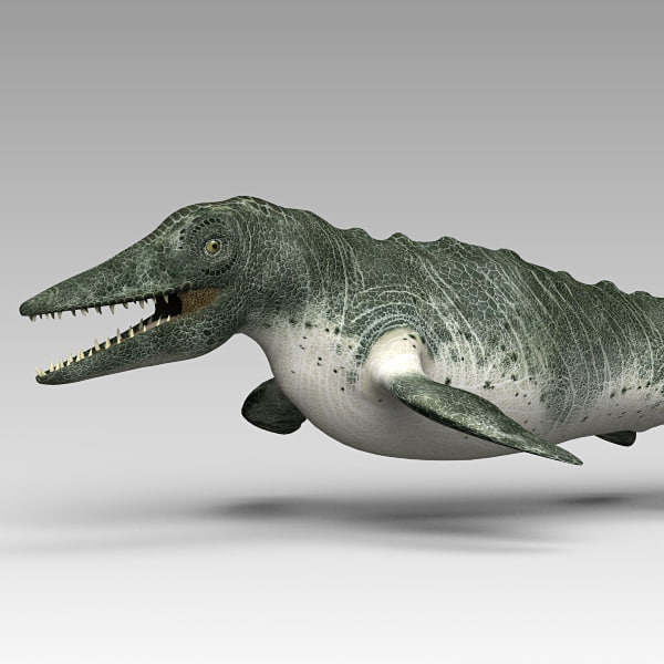 tylosaurus max