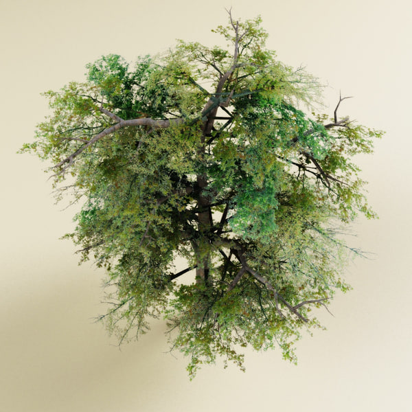 3ds max tree modelled