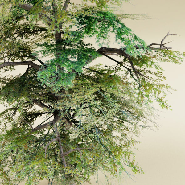 3ds max tree modelled