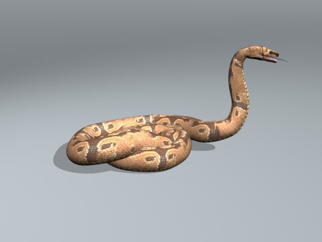 3ds max boa constrictor