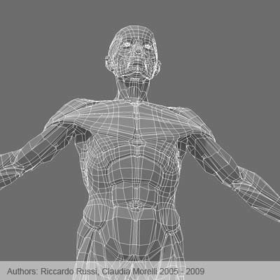 3d model muscular external muscles
