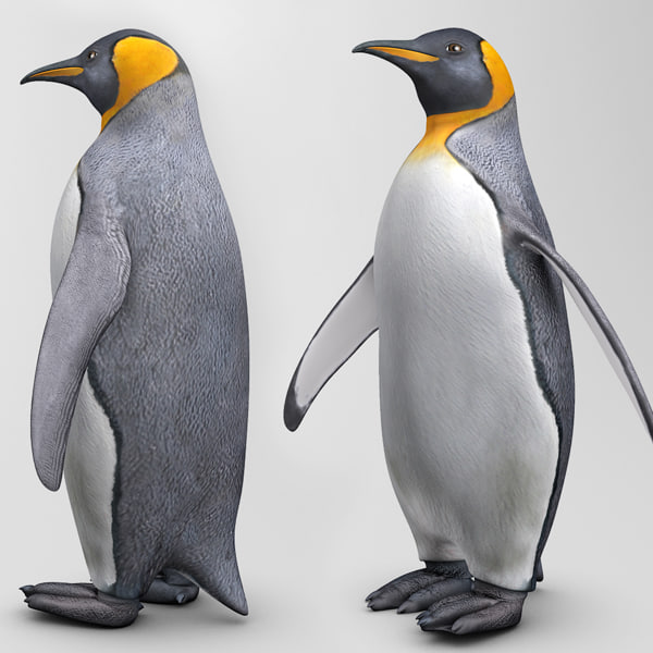 penguin 3d model