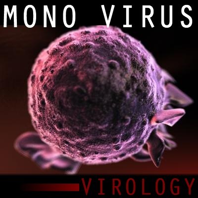 3d model mononucleosis infectious virus