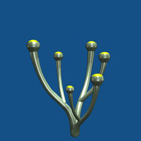 cooksonia - JungleKey.fr Image #50