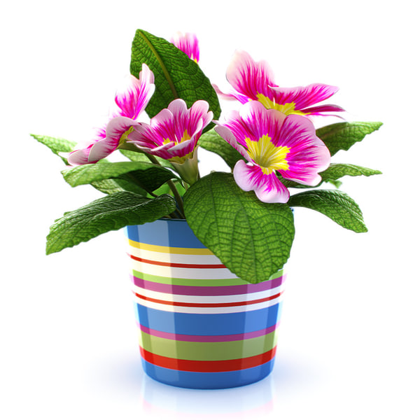 flower pot 3d 3ds