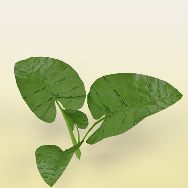 free leaves 3d model