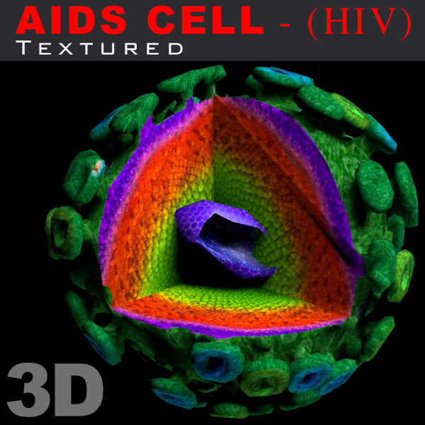 3d model aids hiv cell