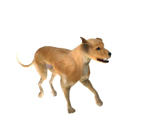 rigged animations 3d max