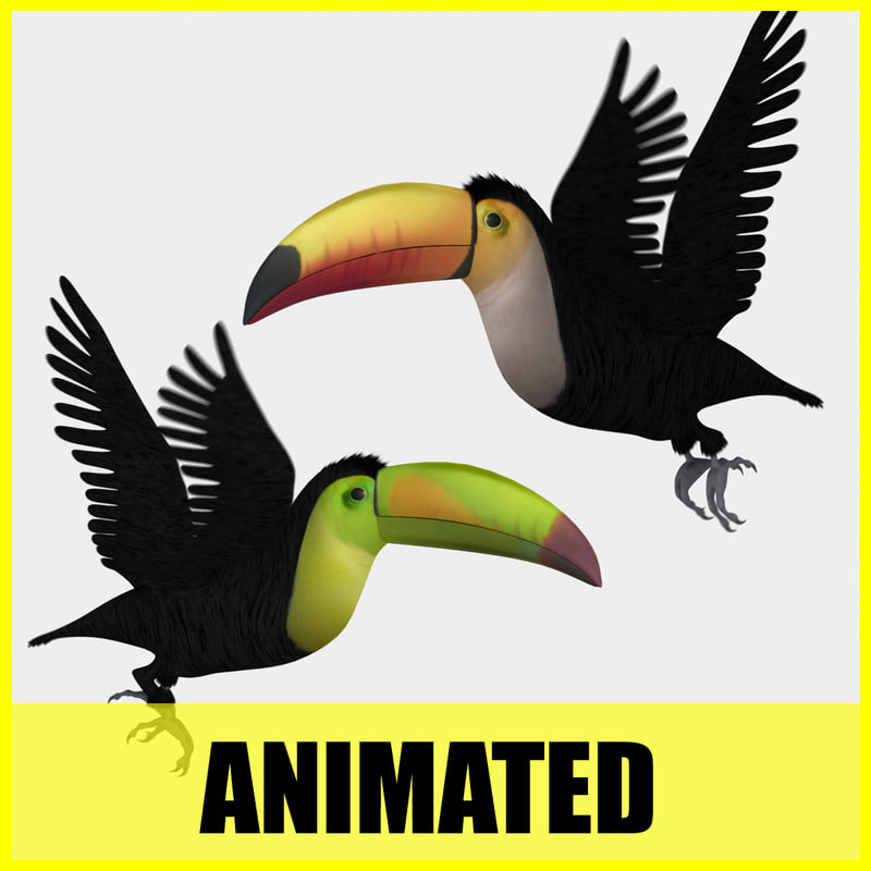 3d toucan different flying animation