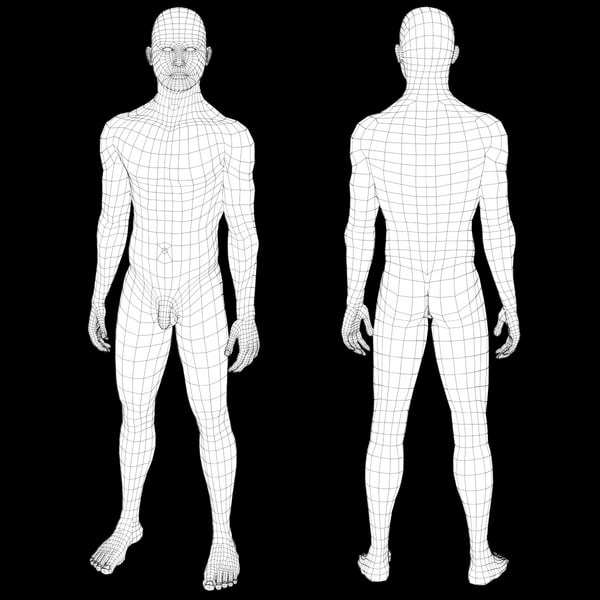 3d model human male body animation