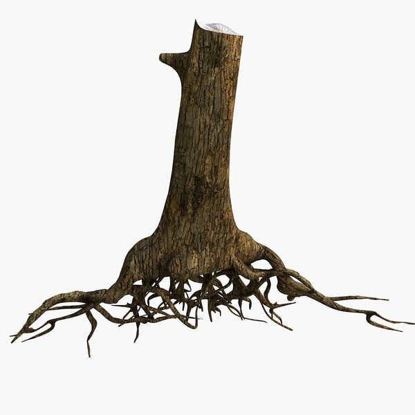 tree roots 3d model