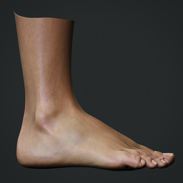 3d model realistic male foot