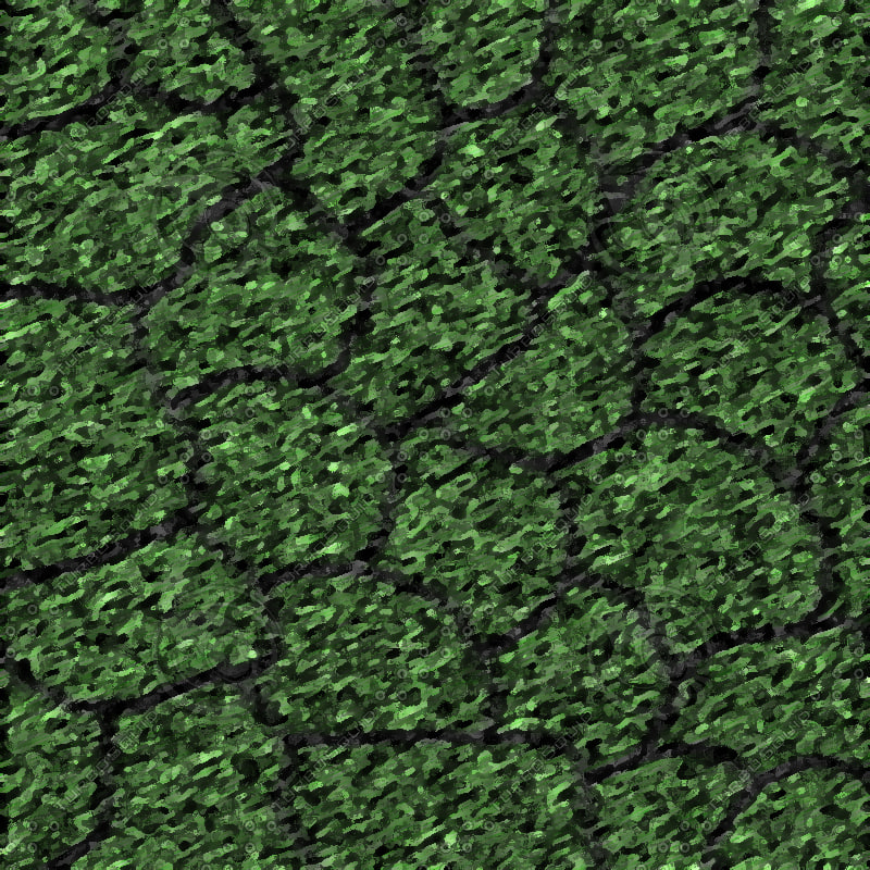 Texture jpg Bug Bug skin