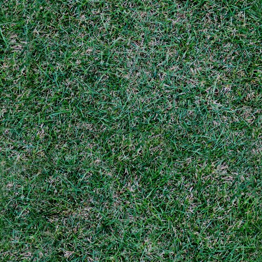 Texture bmp grass 1024x bmp