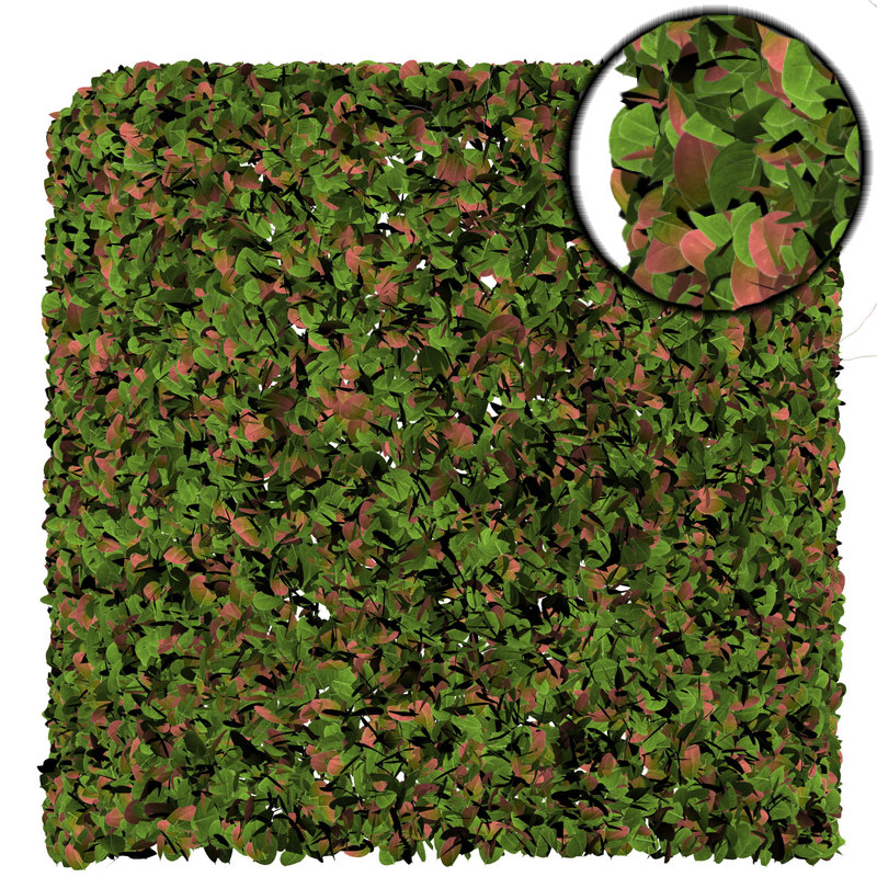 Texture jpg shrub plant bush