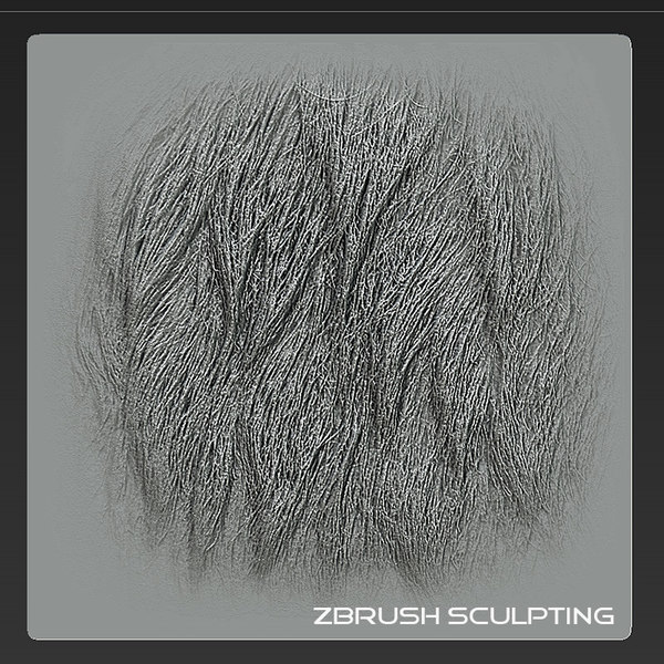 Texture jpg alpha brush fur