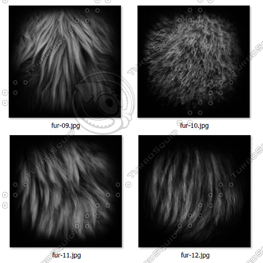 Texture jpg alpha brush fur