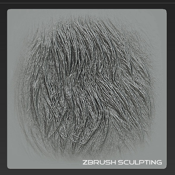 Texture jpg alpha brush fur