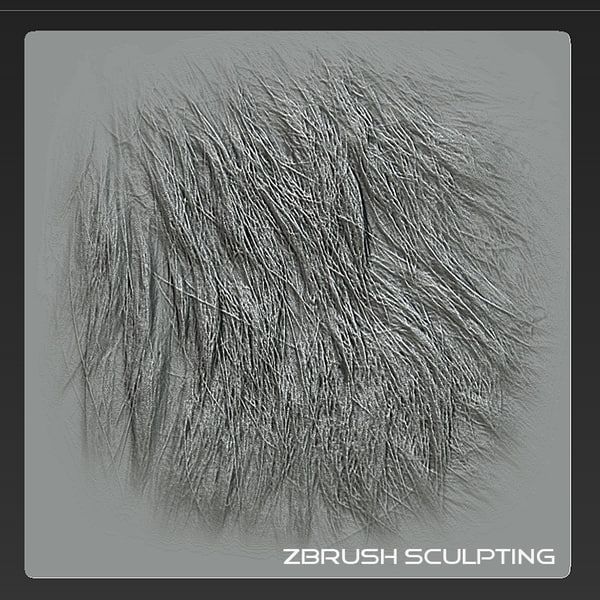 Texture jpg alpha brush fur