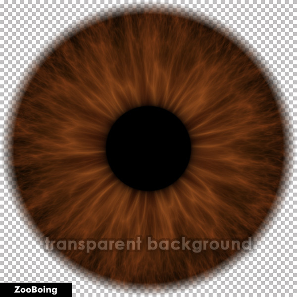 Texture png eye realistic iris