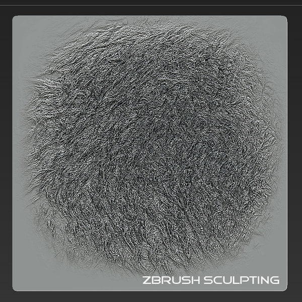 Texture jpg alpha brush fur