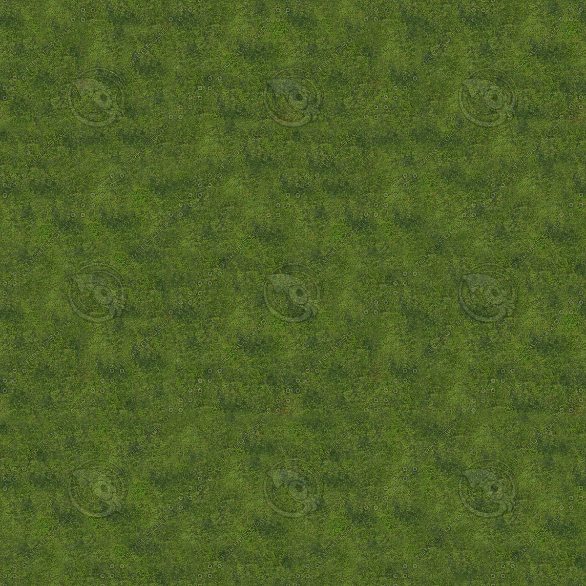 Texture Other Grass Landscape Ground