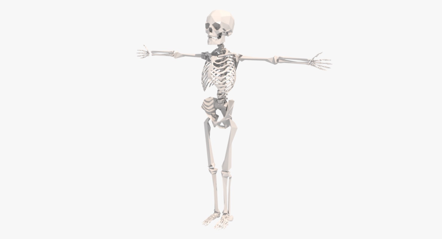 stylized rigged skeleton animation 3d c4d
