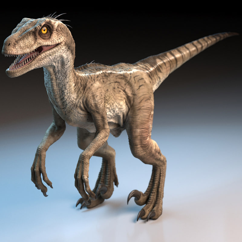 raptor dinosaur 3d model