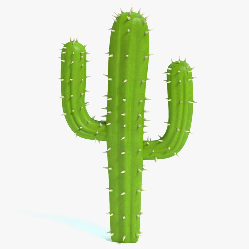 3D 3ds cartoon cactus toon