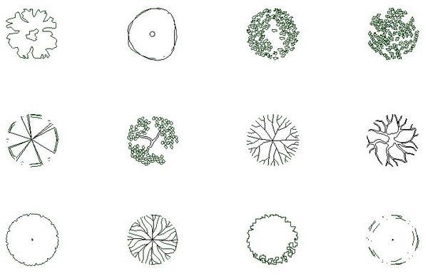 Building rfa Tree plant